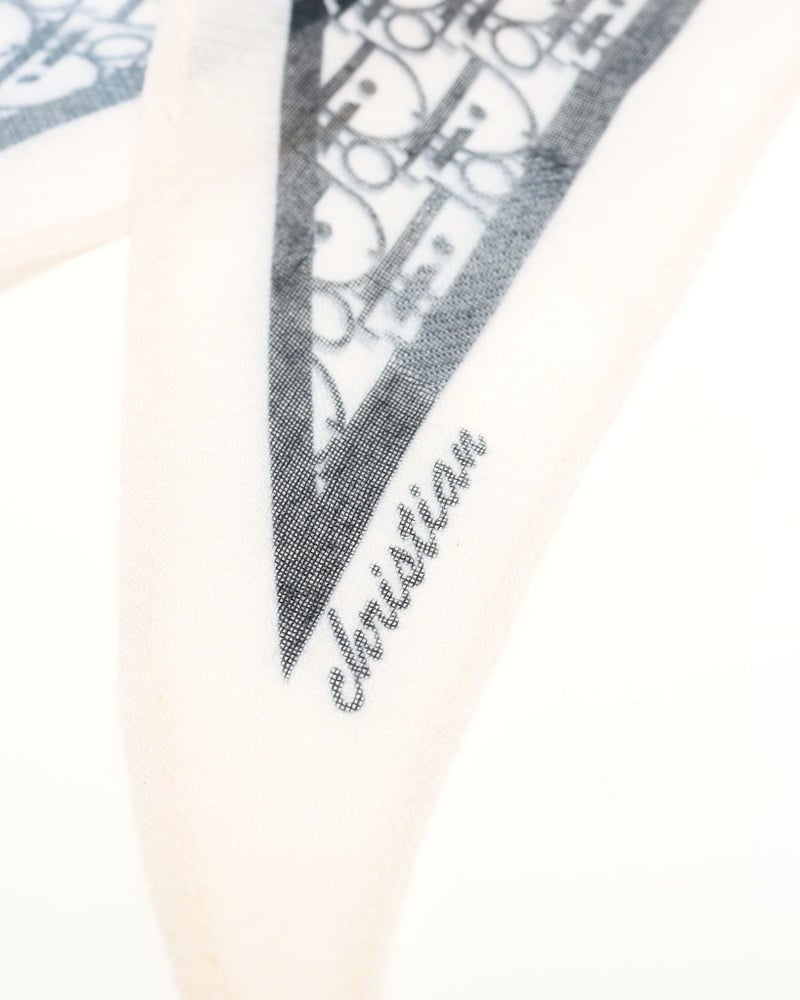 Vintage Christian Dior Trotter Scarf 849-41292 - A Retro Tale